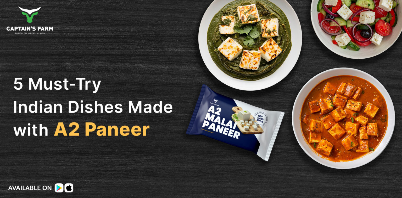 5 Must-Try Indian Dishes Made with A2 Paneer | A2 Paneer Recipes